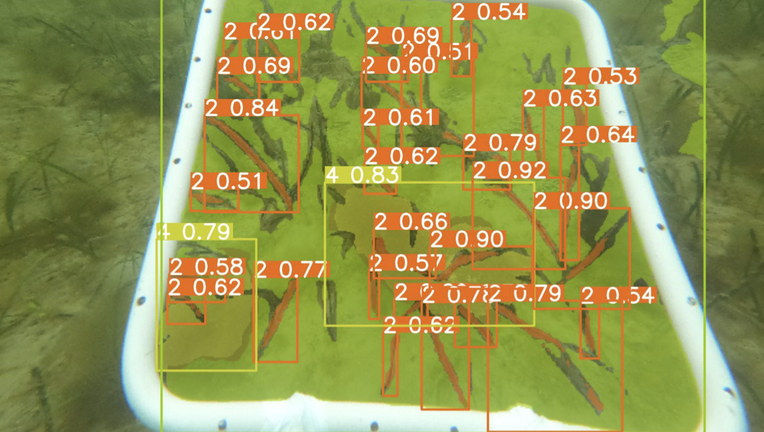 SUBSIM - the Swedish national platform for analysis of subsea images